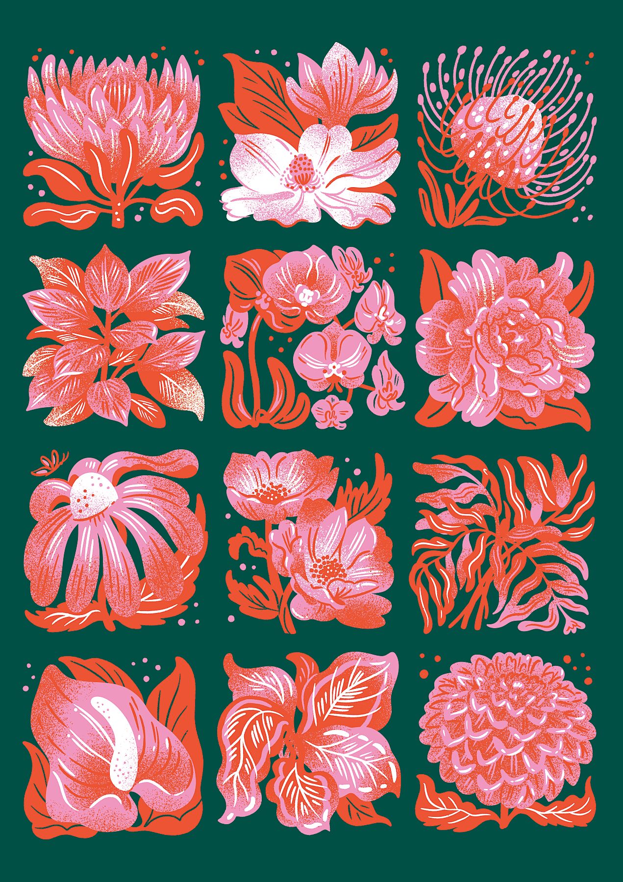 Jordan Kay – grafikmedia